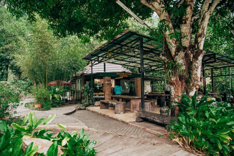 Doi Inthanon: um pedacinho do Himalaia na Tailândia | Viajando na Janela