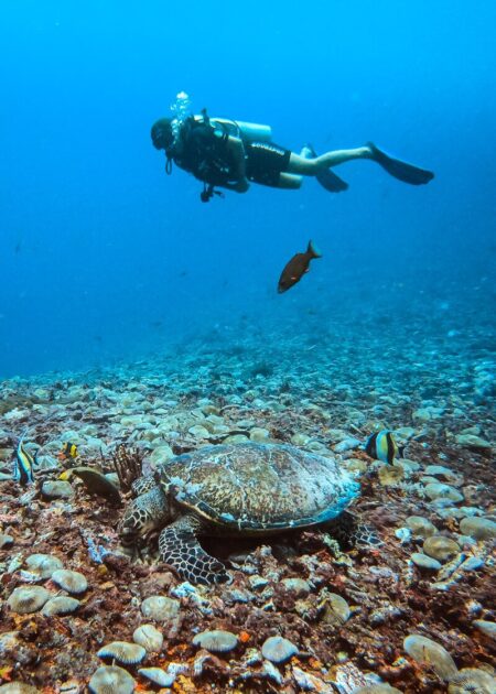 Ilhas Gili, na Indonésia: saiba tudo sobre a pequena Gili Air
