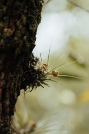 Onde ficar em Carrancas: Pousada Sete Quedas
